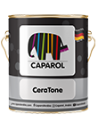 Stone Paint | Natural Stone Finish Paints in Oman | Caparol