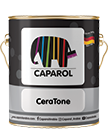 Natural Stone Finish Exterior Paints | Stone Finish Paints