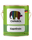 Interior and Exterior textured paints in UAE | Caparol Arabia