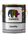 Stone Finish Paint in UAE | Caparol Arabia